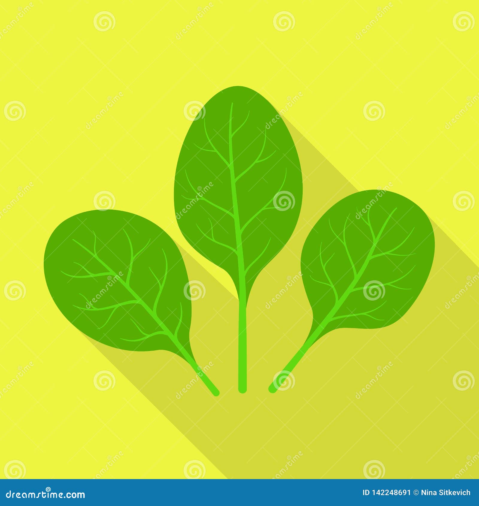 Spinach icon, flat style stock vector. Illustration of flat - 142248691