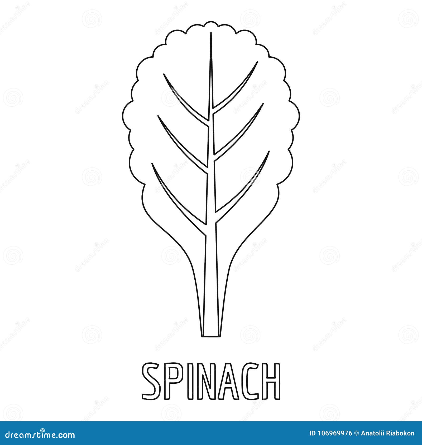 Spinach Line Drawing