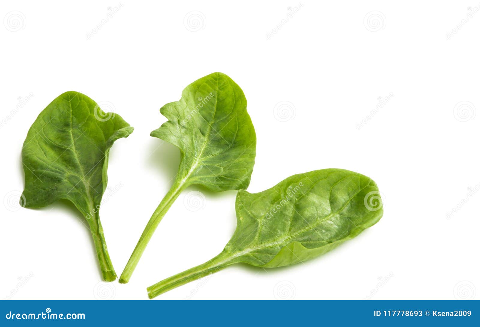 Spinach isolated stock image. Image of eating, vegetable - 117778693