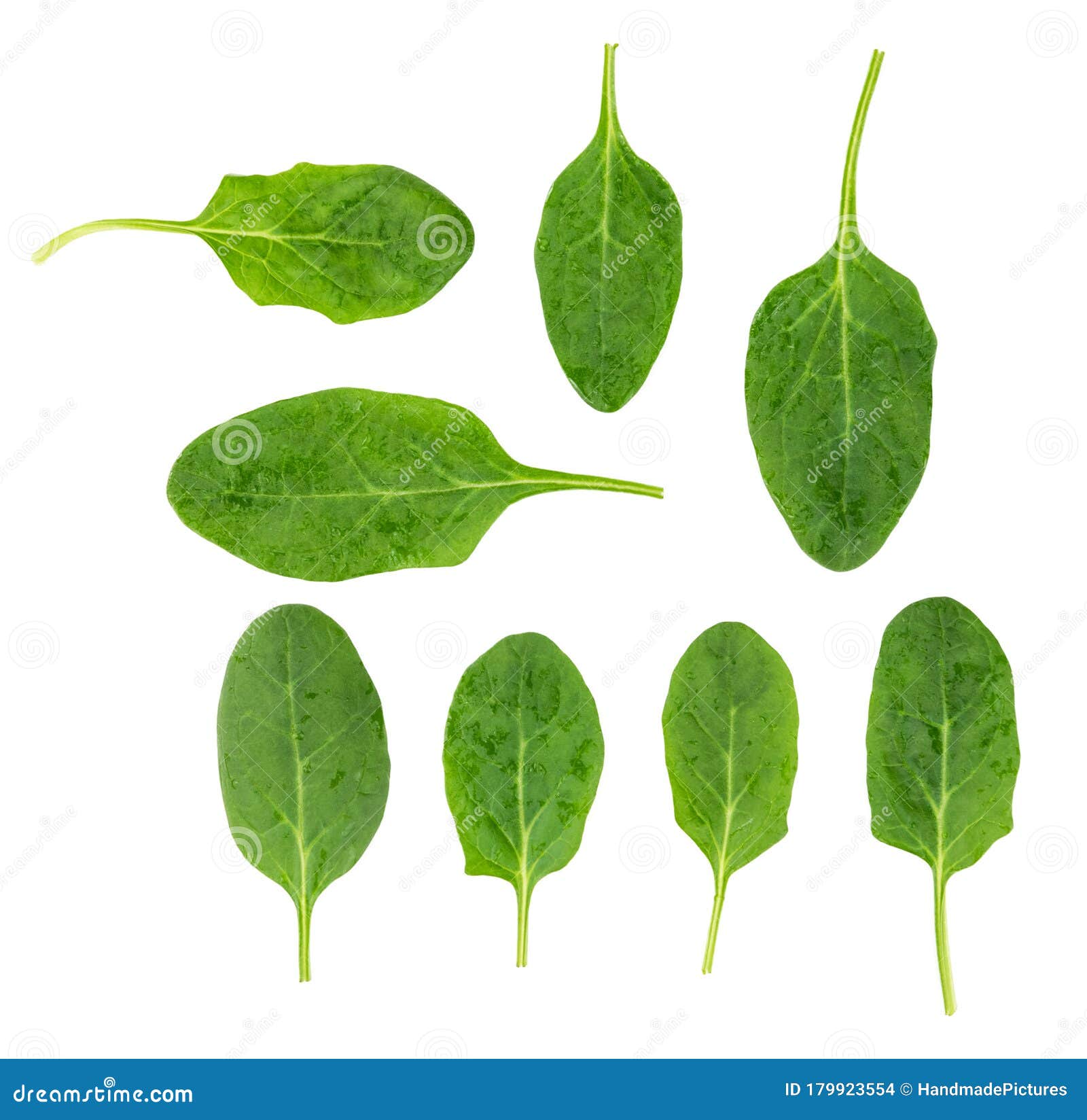 Spinach Isolated on White Background Close-up Shot Stock Photo - Image ...
