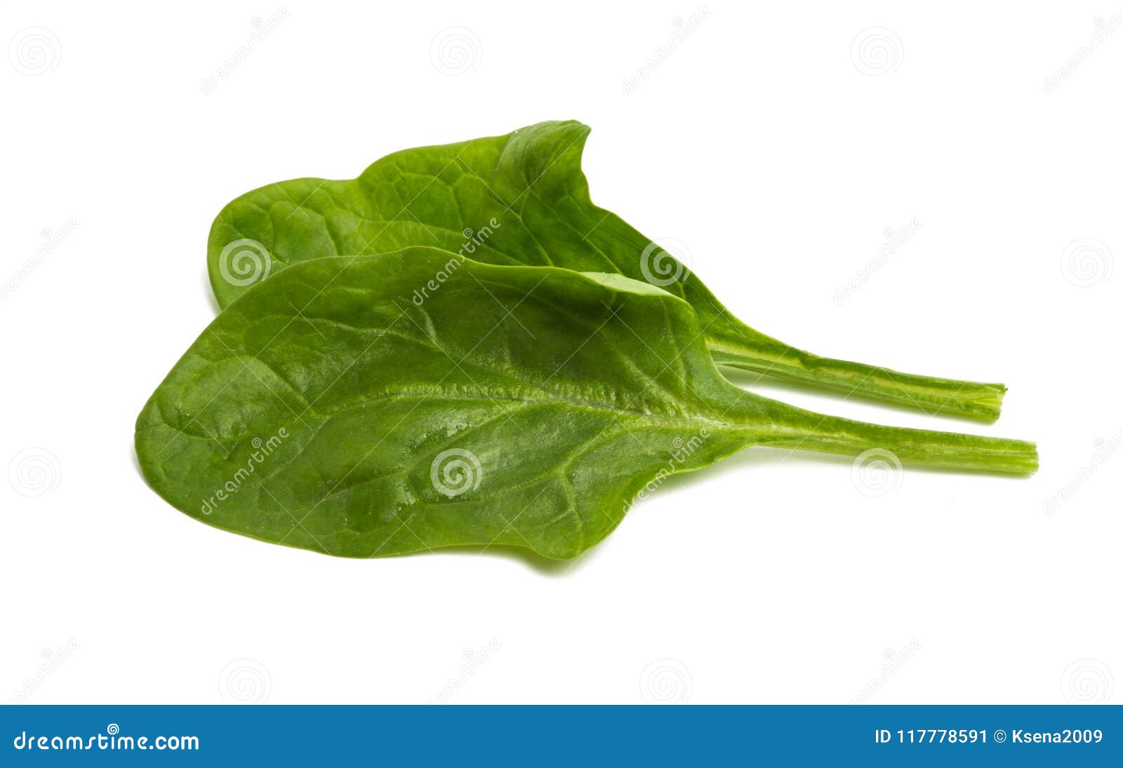 Spinach isolated stock image. Image of ingredient, freshness - 117778591