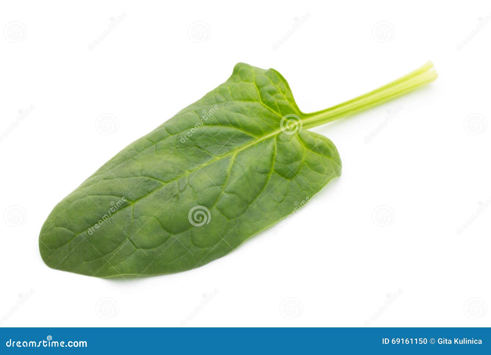 Spinach on the Isolated White. Stock Photo - Image of salad, nutrition ...