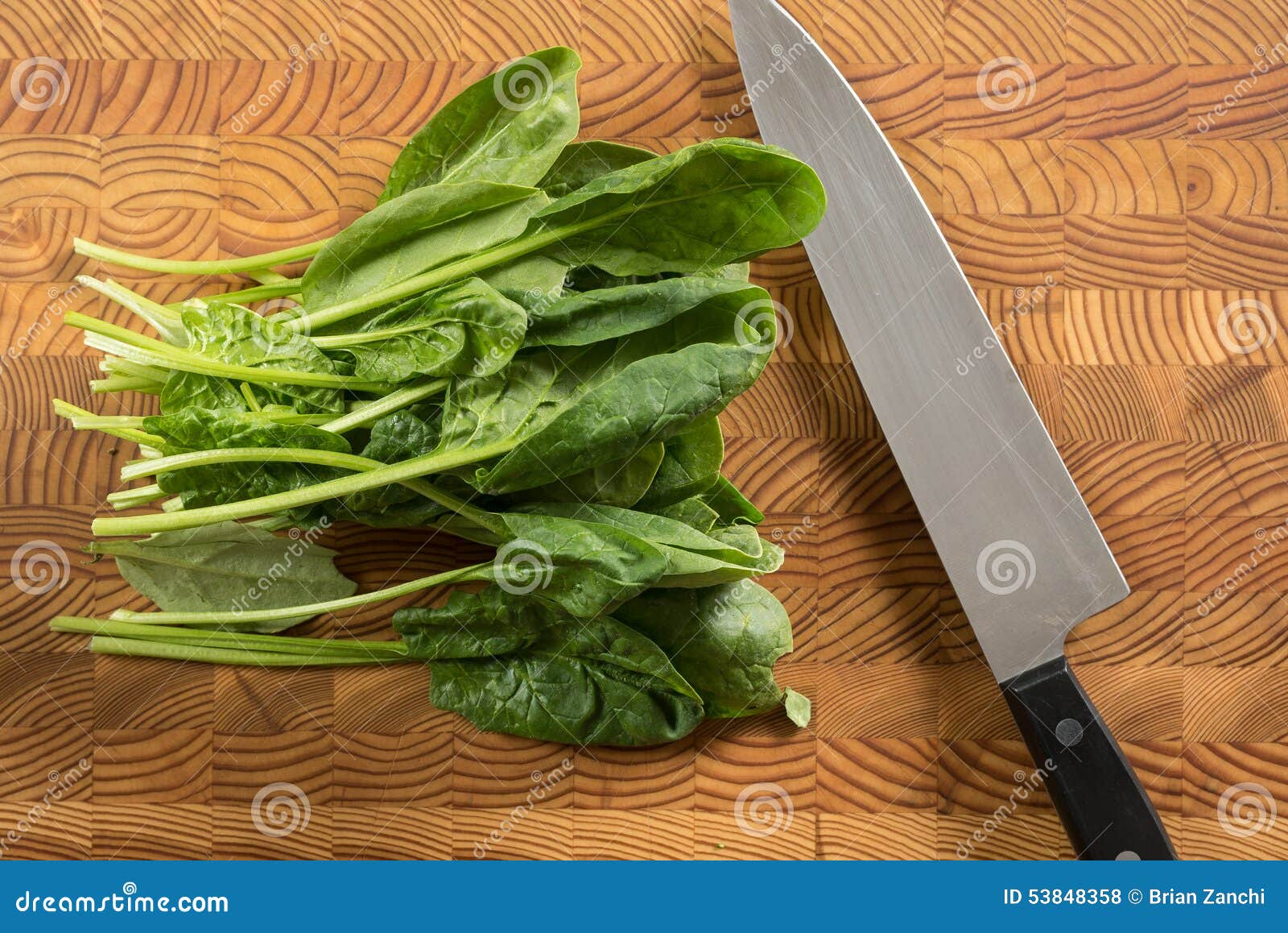 Spinach with Knife stock photo. Image of spring, plant - 53848358