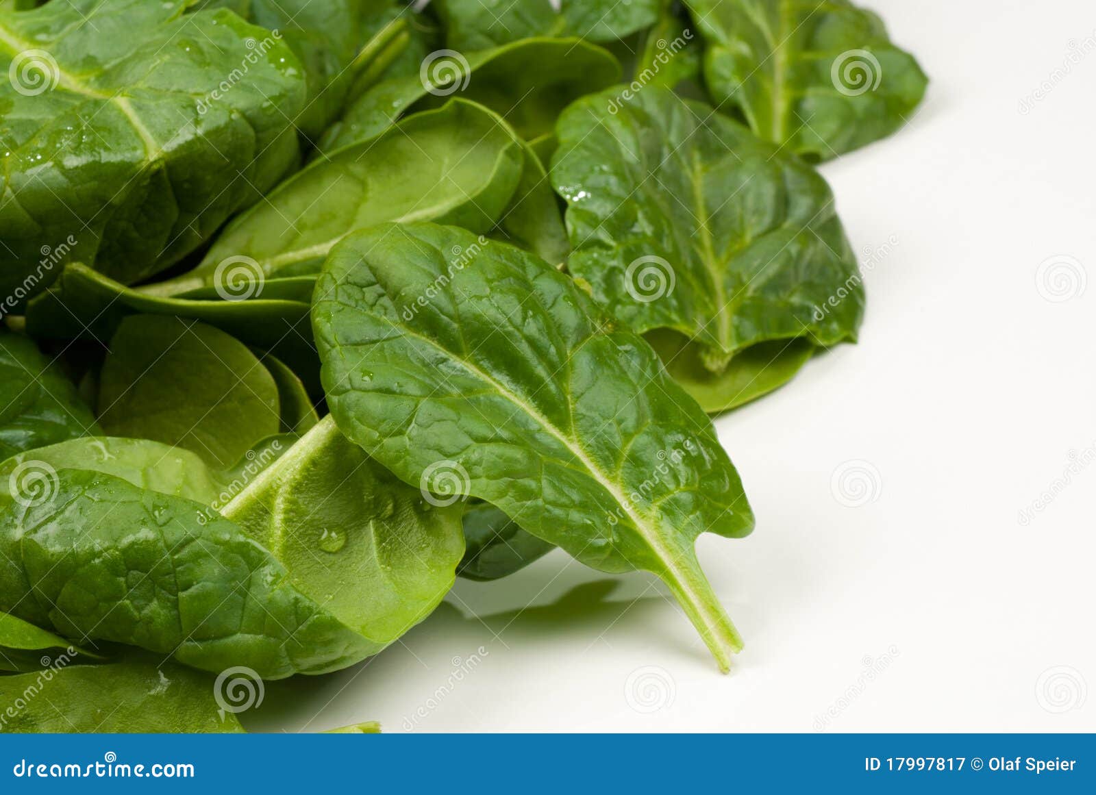 Spinach leaves stock image. Image of vegetarian, spinach - 17997817