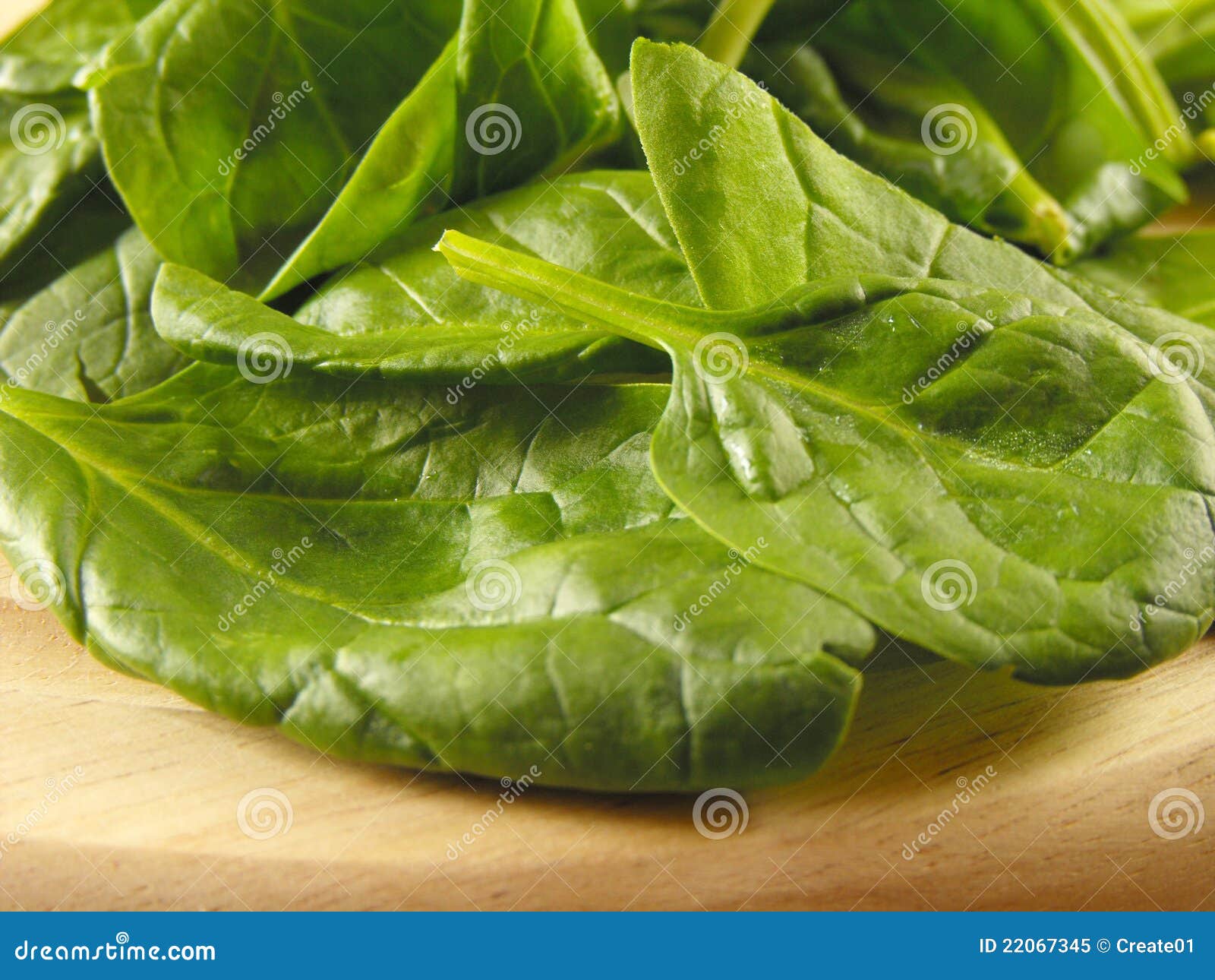 Spinach Leaves stock image. Image of leaves, bunch, healthy - 22067345