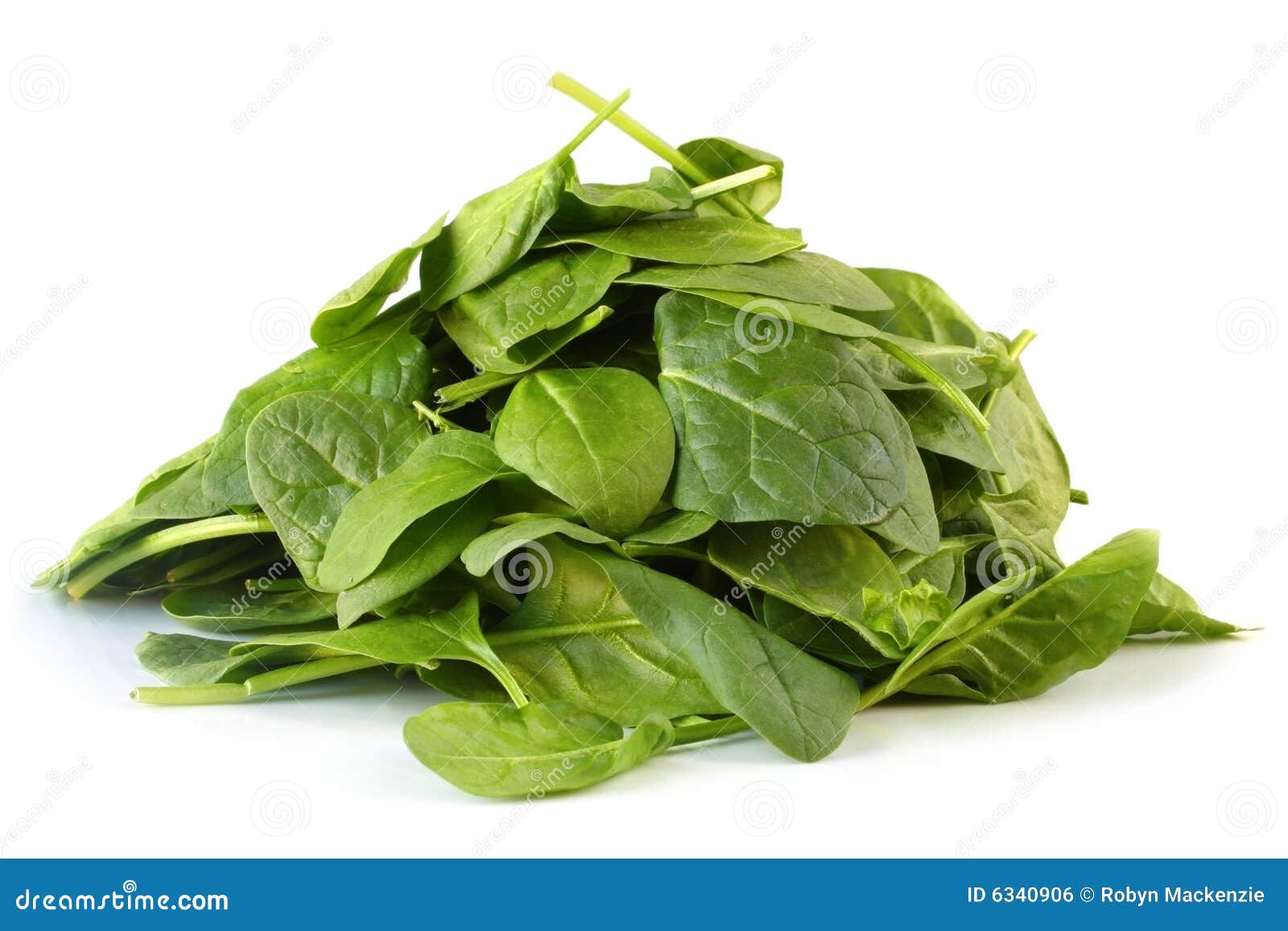 Spinach Leaves stock photo. Image of eating, nutritious - 6340906