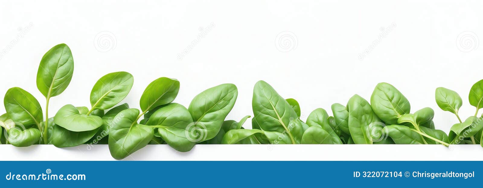 Spinach Leaves on Border Side on Plain White Background Copyspace Ai ...