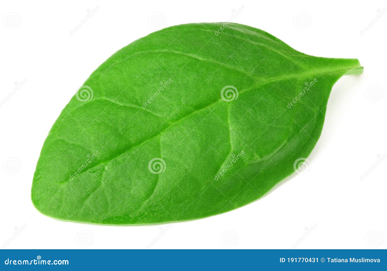 Spinach Leaves Isolate on White Background. Healthy Food Stock Image ...