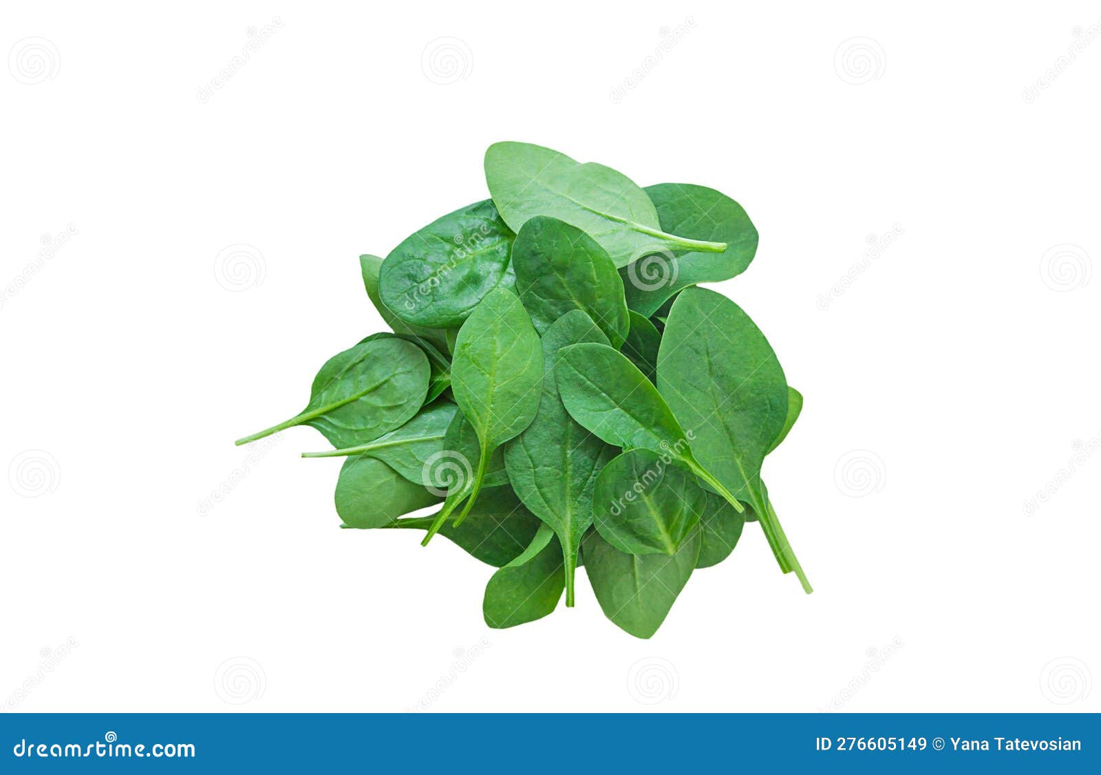 Spinach Leaves Isolate on White Background. Selective Focus Stock Image ...