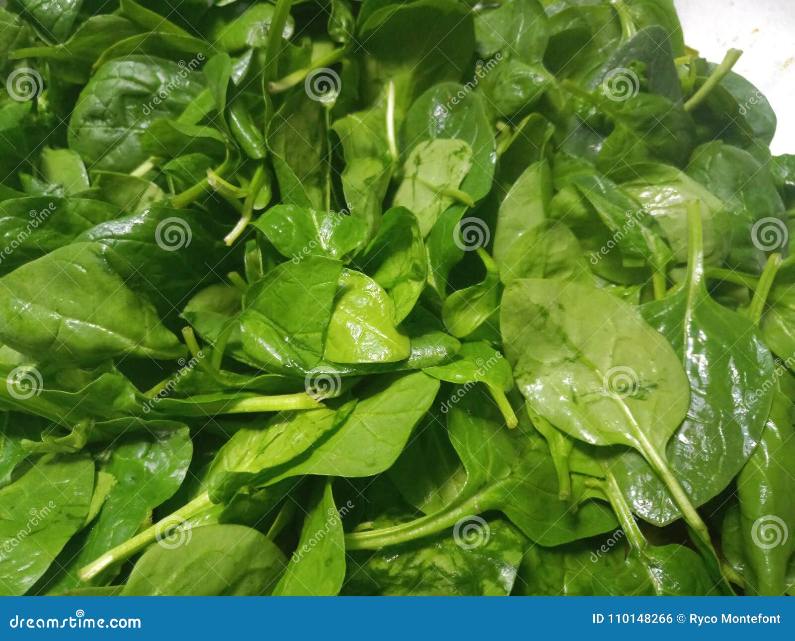 Spinach leaves stock photo. Image of leaves, organic - 110148266