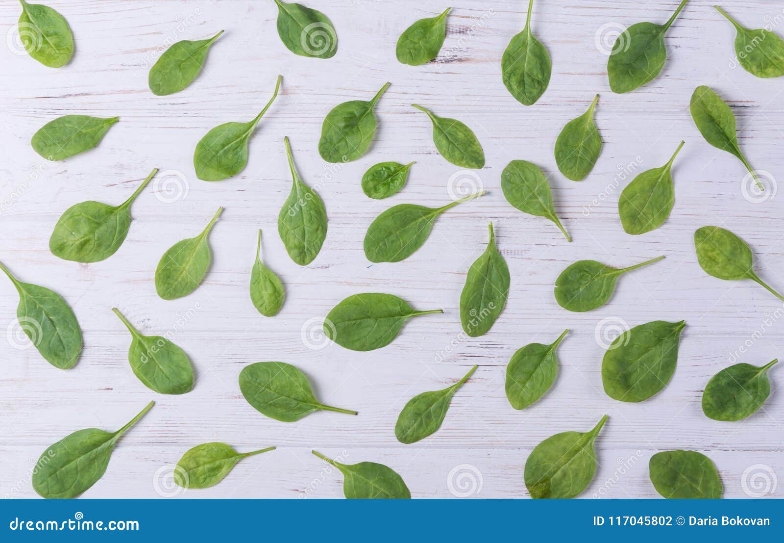 Spinach pattern background stock photo. Image of green - 117045802