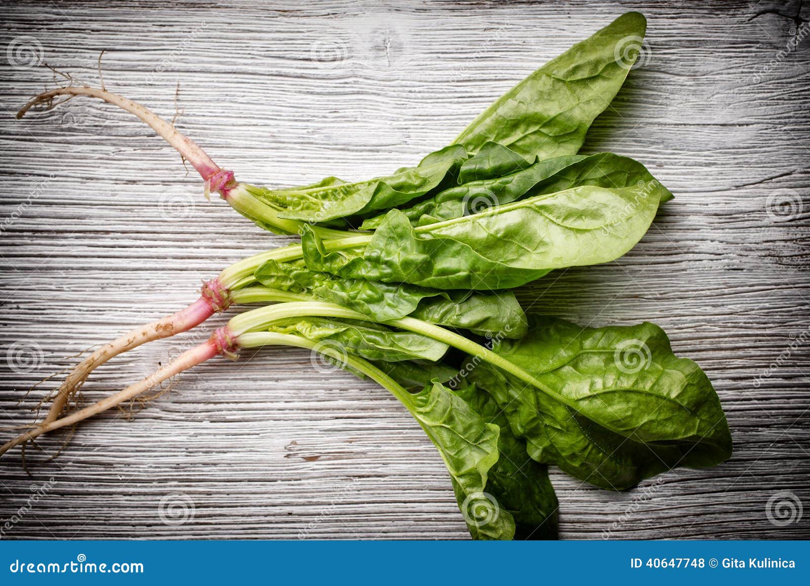 Spinach stock photo. Image of herb, organic, healthy - 40647748