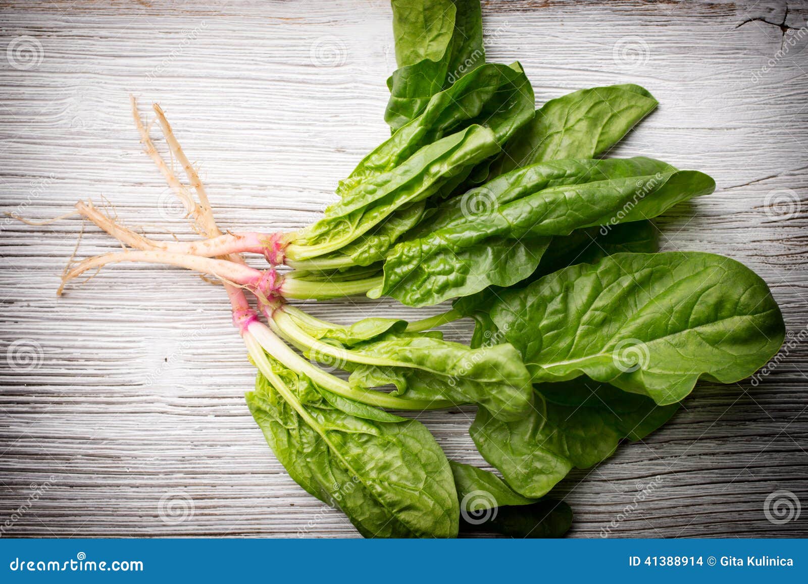 Spinach. Stock Photo - Image: 41388914