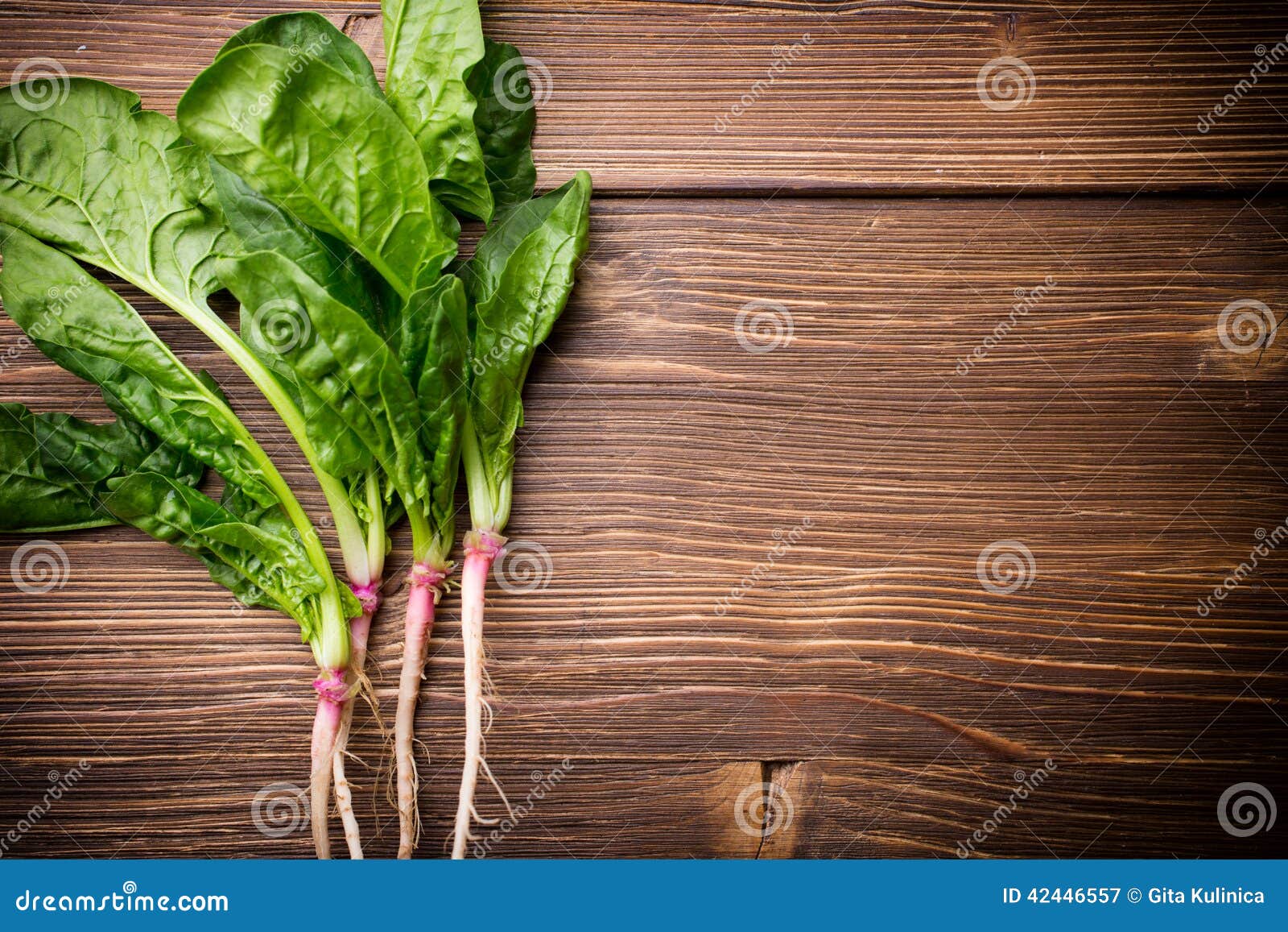 Spinach. stock image. Image of botany, vegetables, eating - 42446557