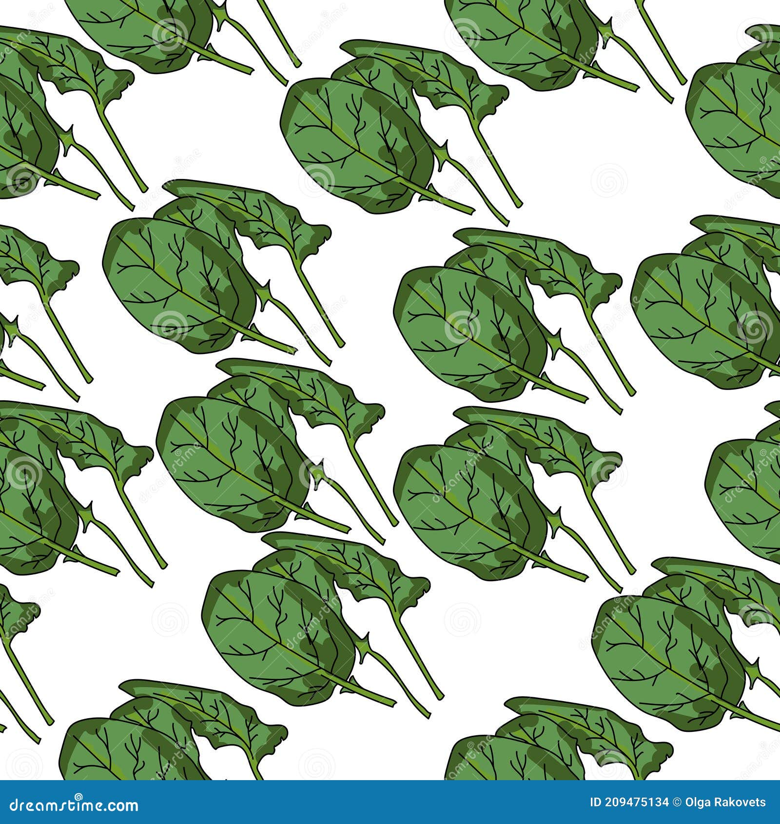 Spinach Seamless Pattern, Green Leaves on a White Background Stock ...