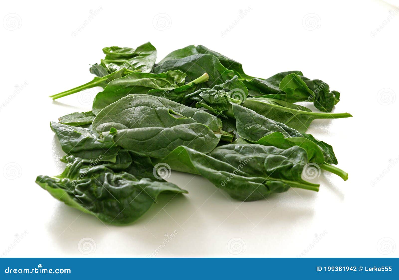 Spinach Spinacia Oleracea Leaves on Table Stock Photo - Image of ...