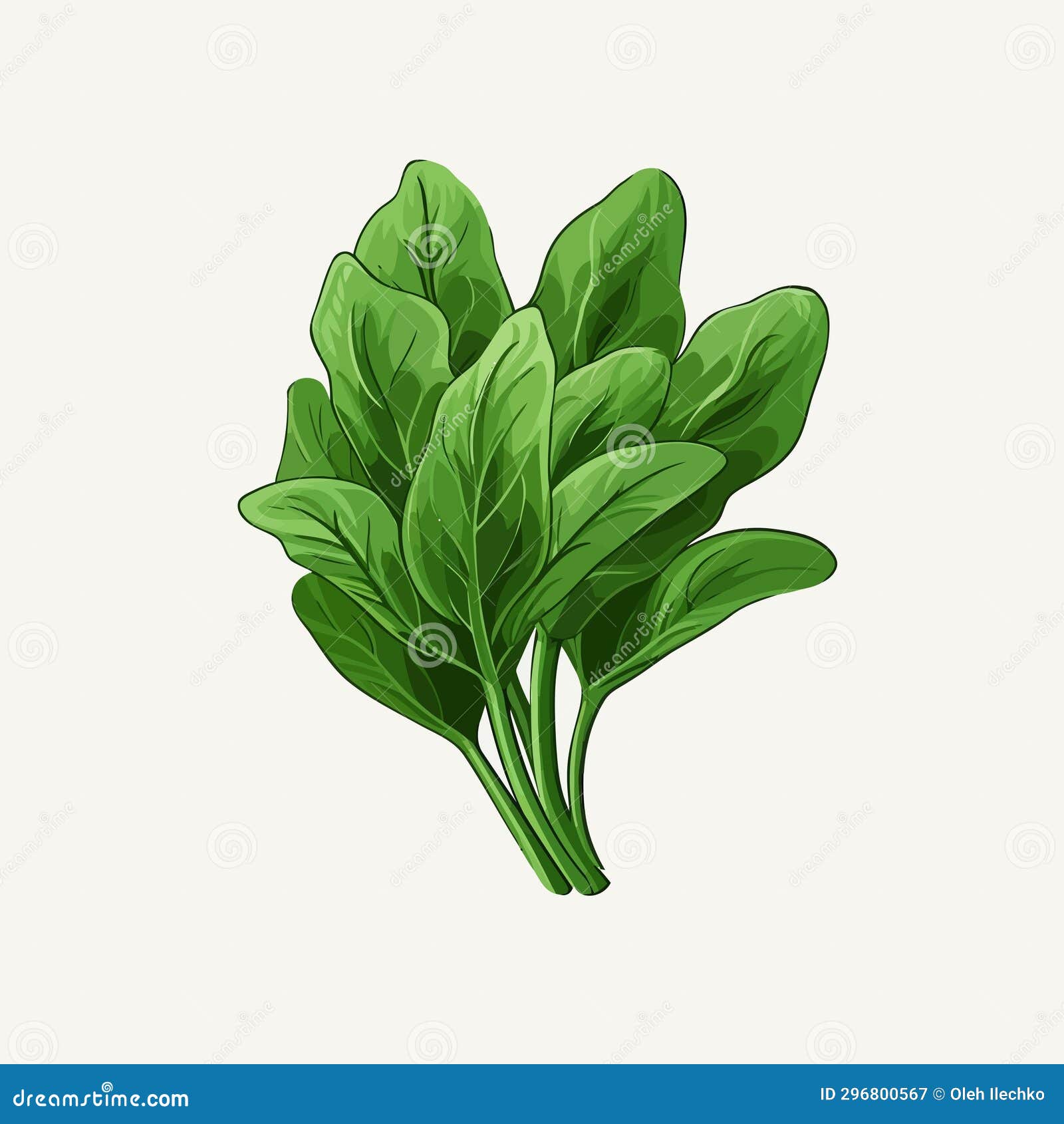 Spinach Vector Flat Minimalistic Isolated Illustration Stock ...