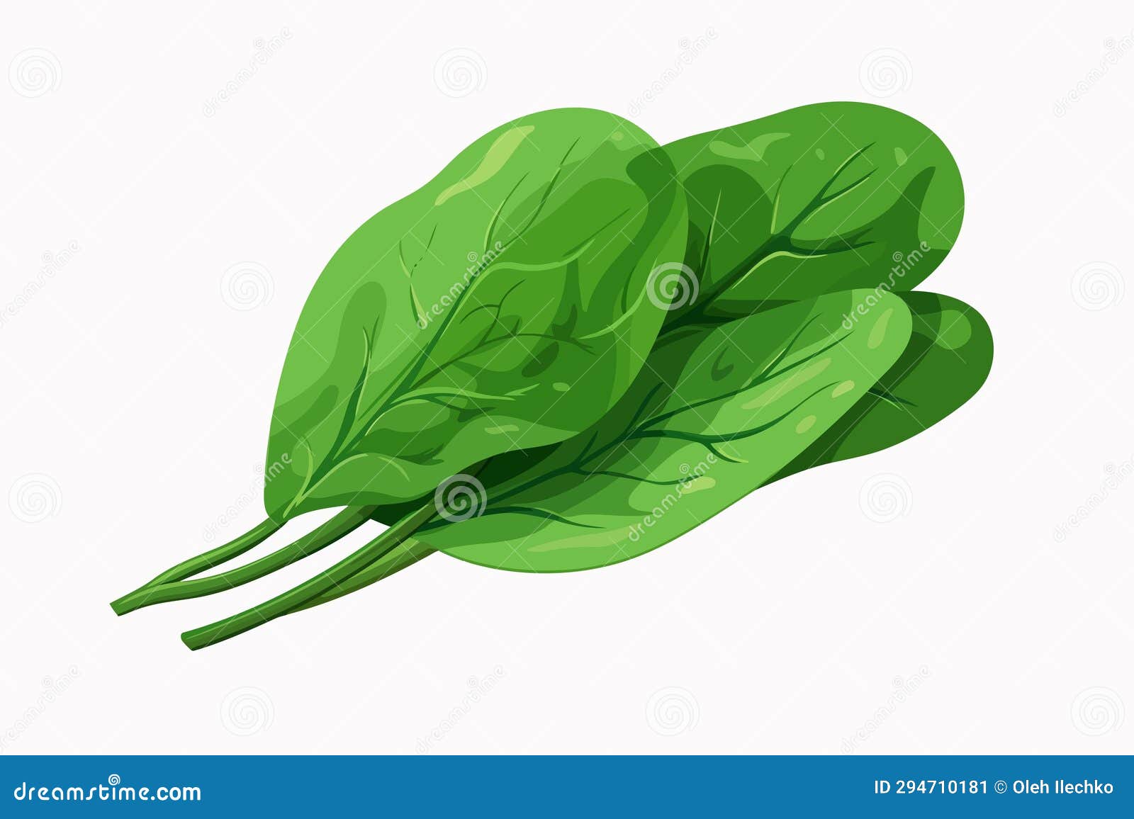 Spinach Vector Flat Minimalistic Isolated Vector Style Illustration ...
