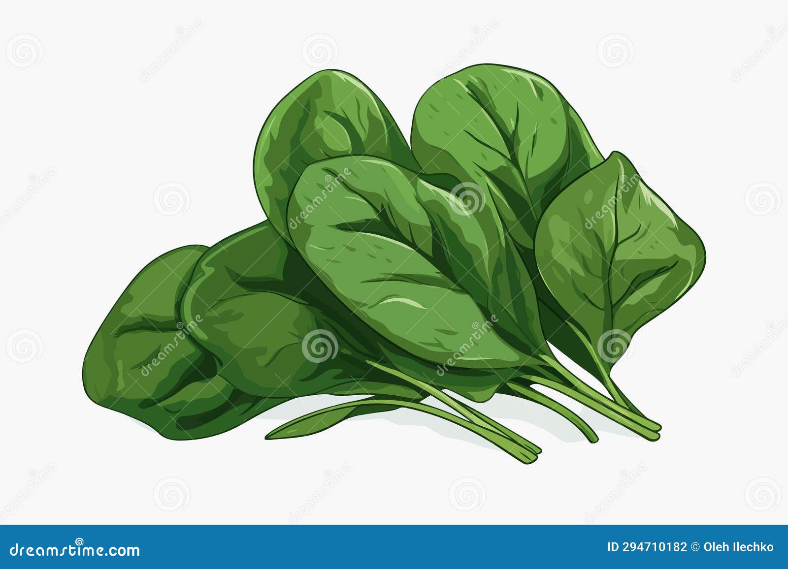 Spinach Vector Flat Minimalistic Isolated Vector Style Illustration ...