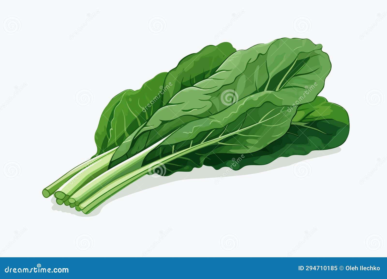 Spinach Vector Flat Minimalistic Isolated Vector Style Illustration ...