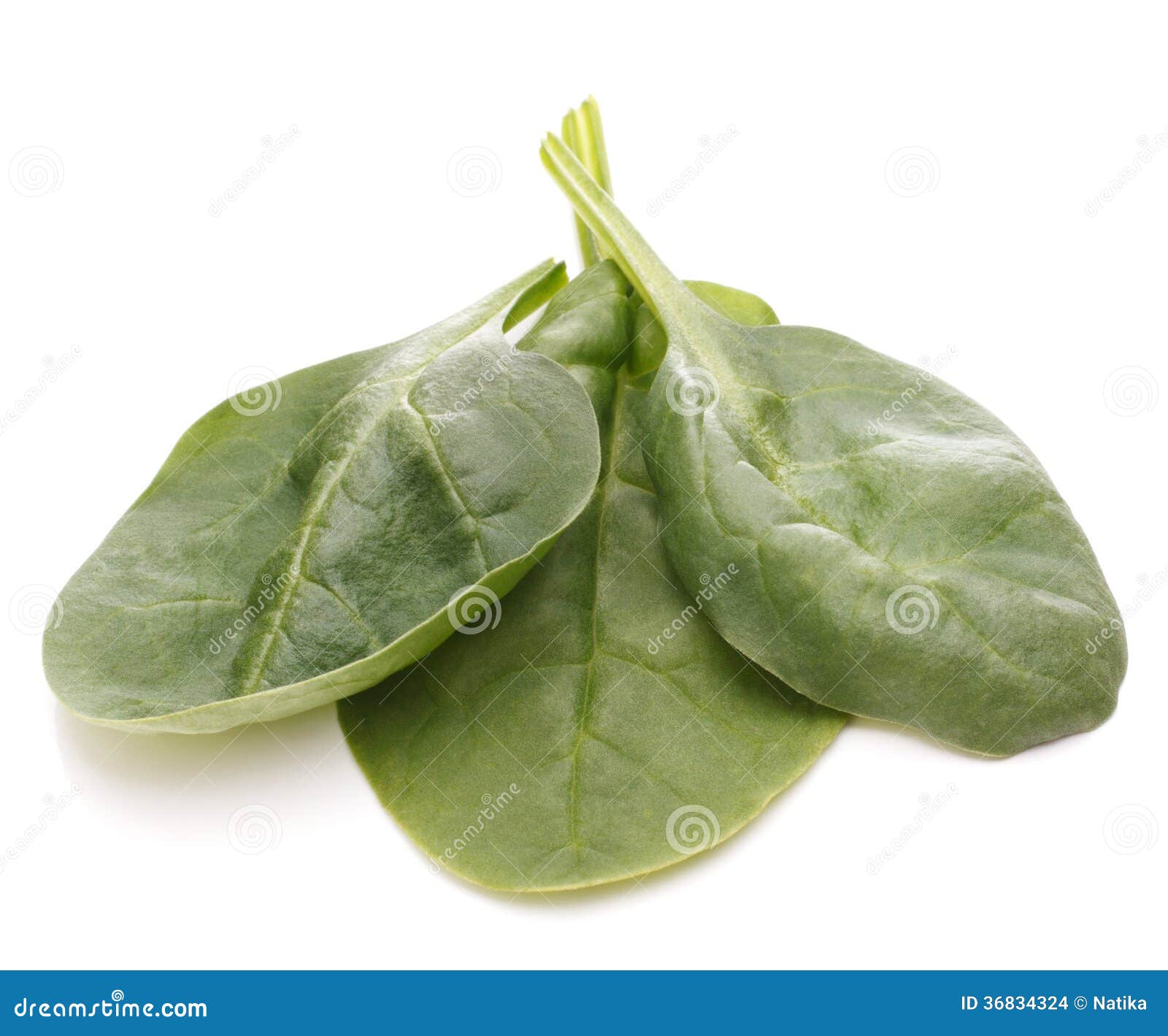 Spinach vegetables cutout stock photo. Image of isolated - 36834324