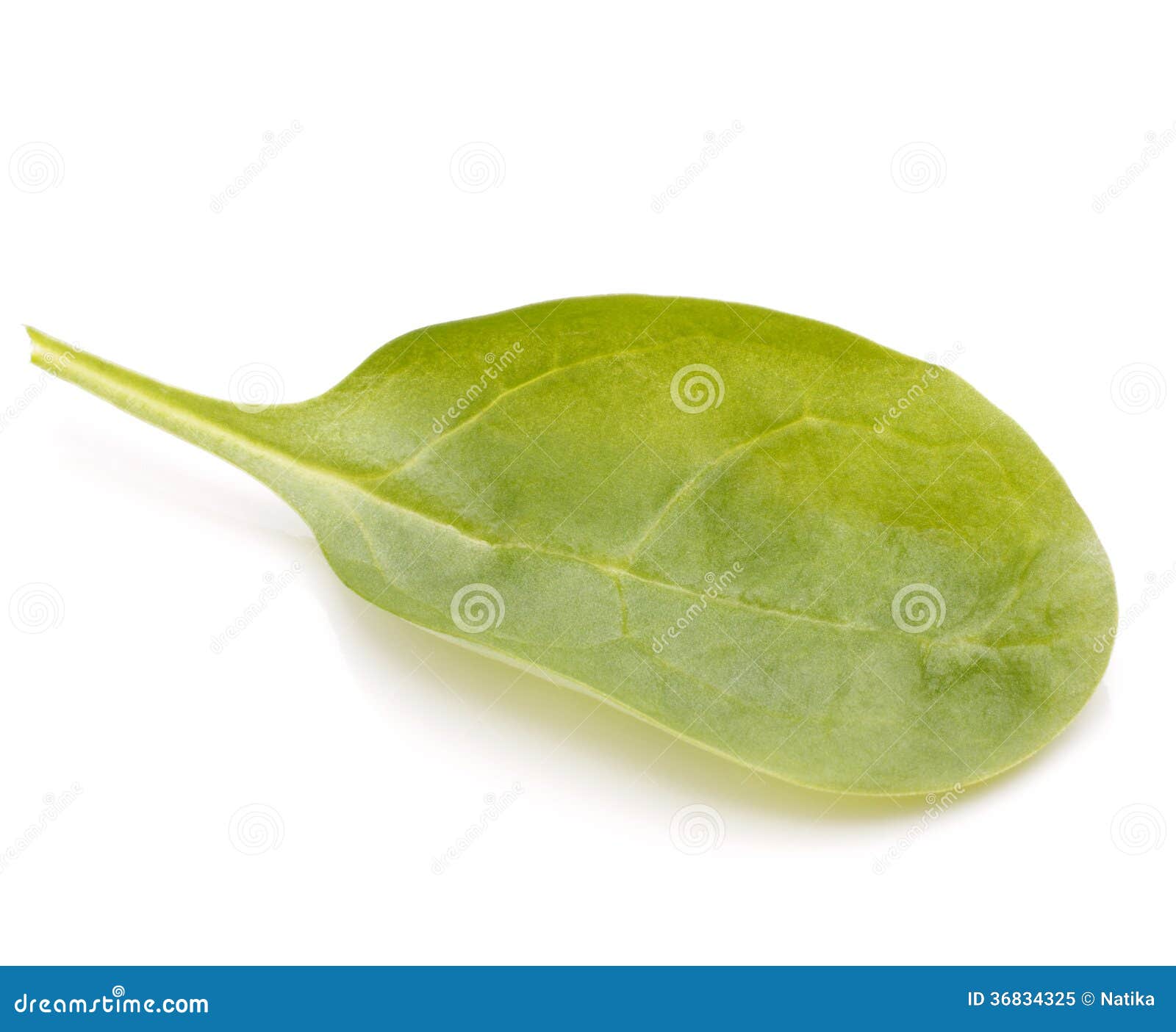 Spinach vegetables cutout stock image. Image of cuisine - 36834325