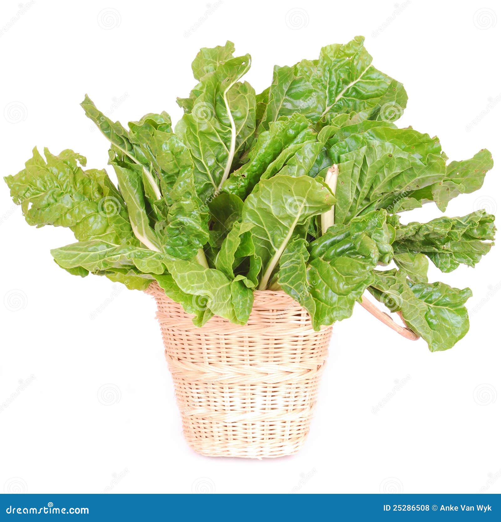 Bunch leaves spinach stock photo. Image of grocery, healthy - 25286508