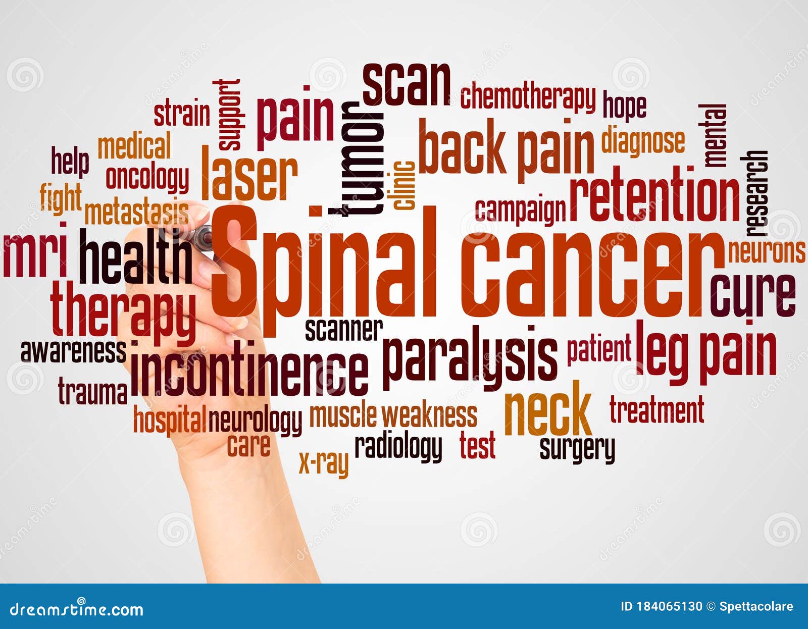 Spinal Cancer Word Cloud and Hand with Marker Concept Stock ...