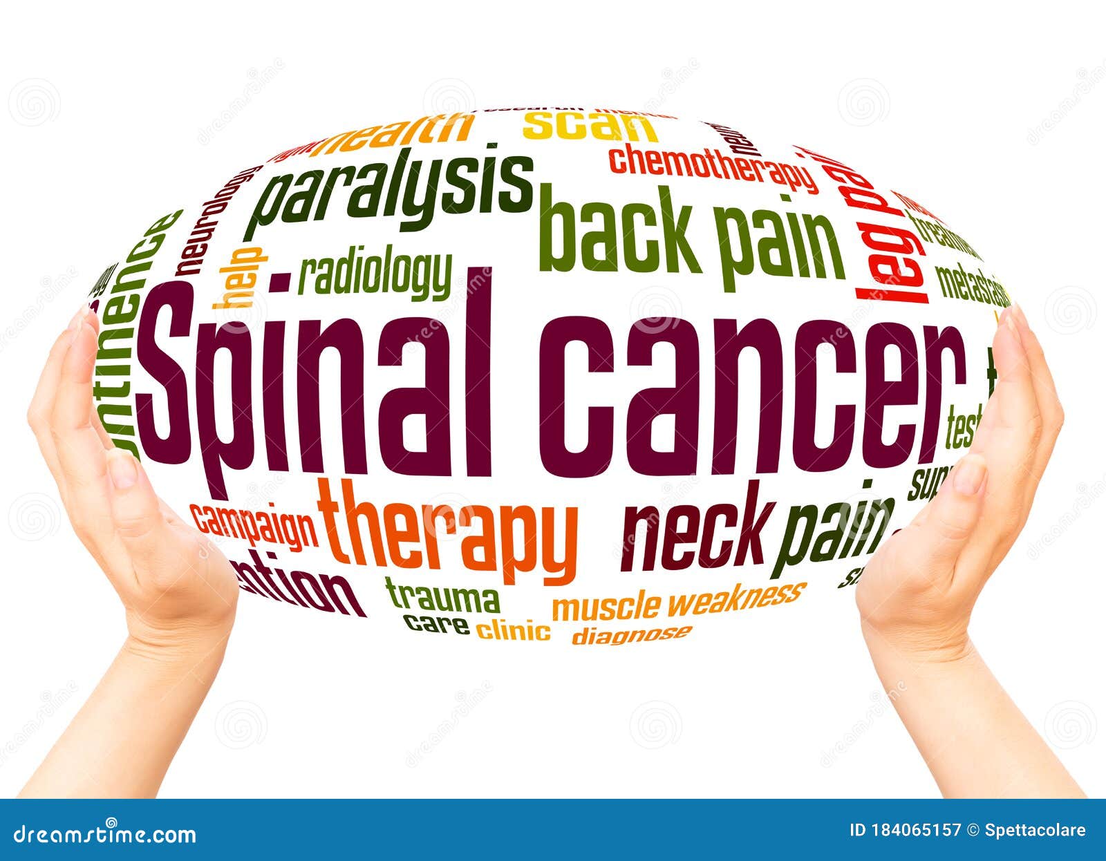 Spinal Cancer Word Hand Sphere Cloud Concept Stock Illustration ...