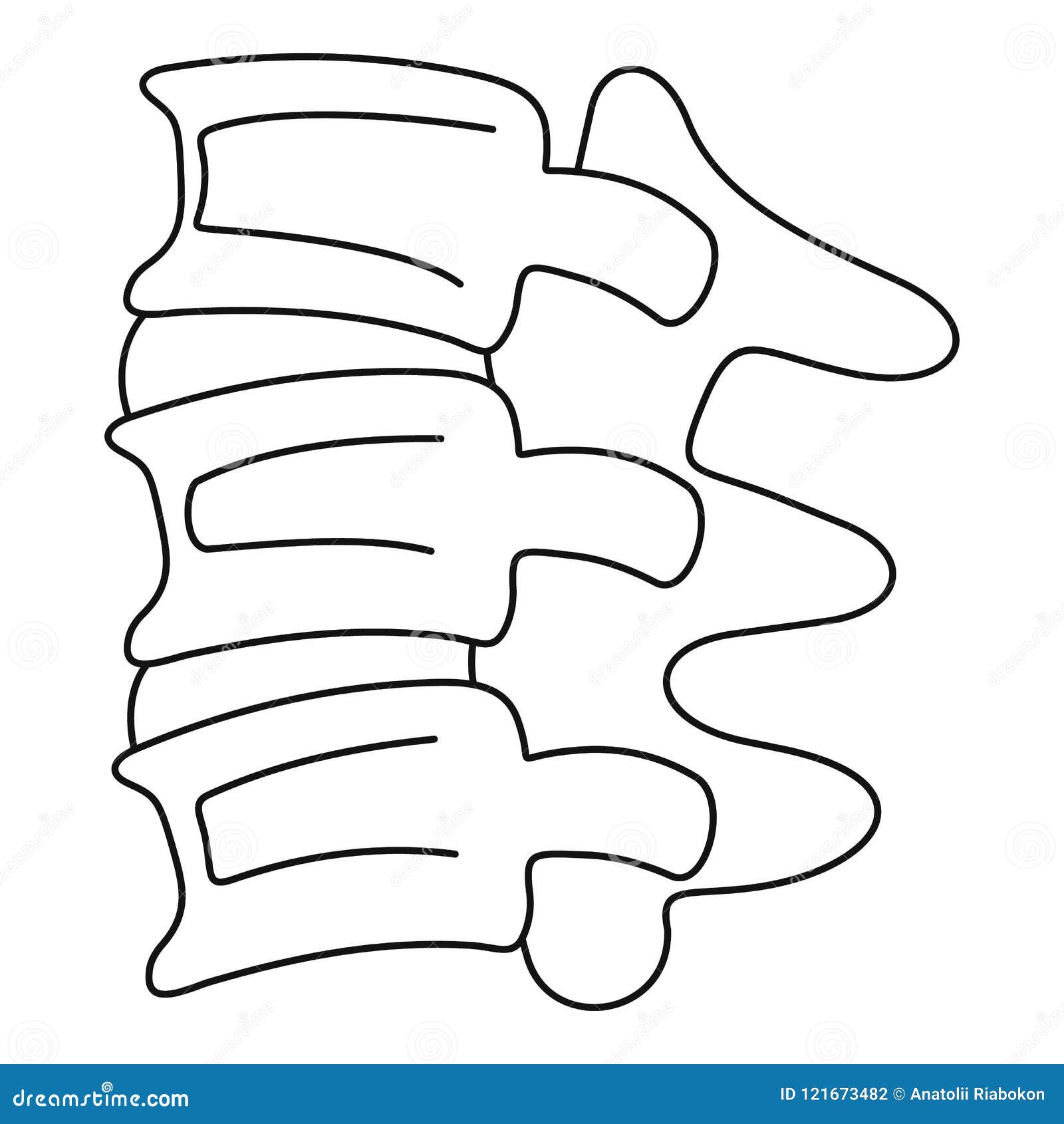 Spinal Column Discs Icon, Outline Style Stock Vector - Illustration of ...