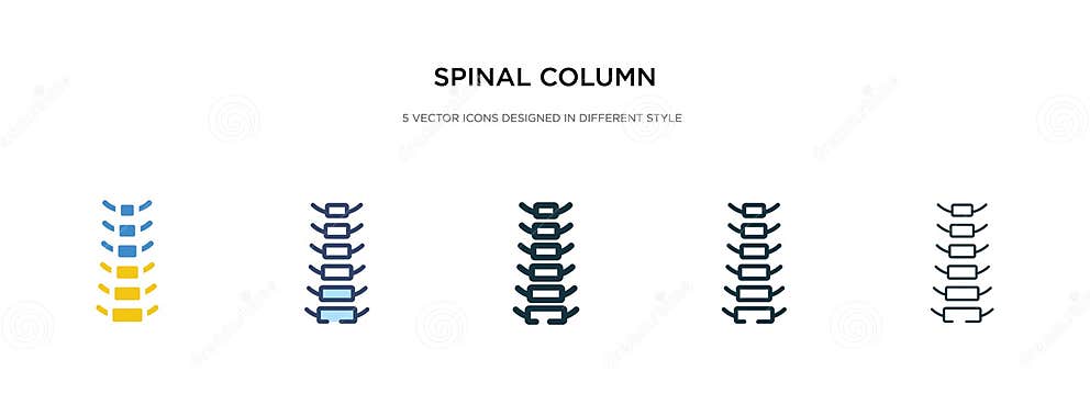 Spinal Column Icon in Different Style Vector Illustration. Two Colored ...