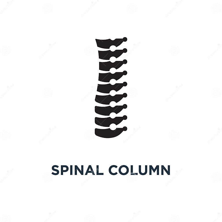 Spinal Column Icon. Simple Element Illustration Stock Vector ...