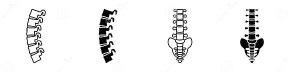 Spinal column icon vector stock vector. Illustration of orthopedic ...