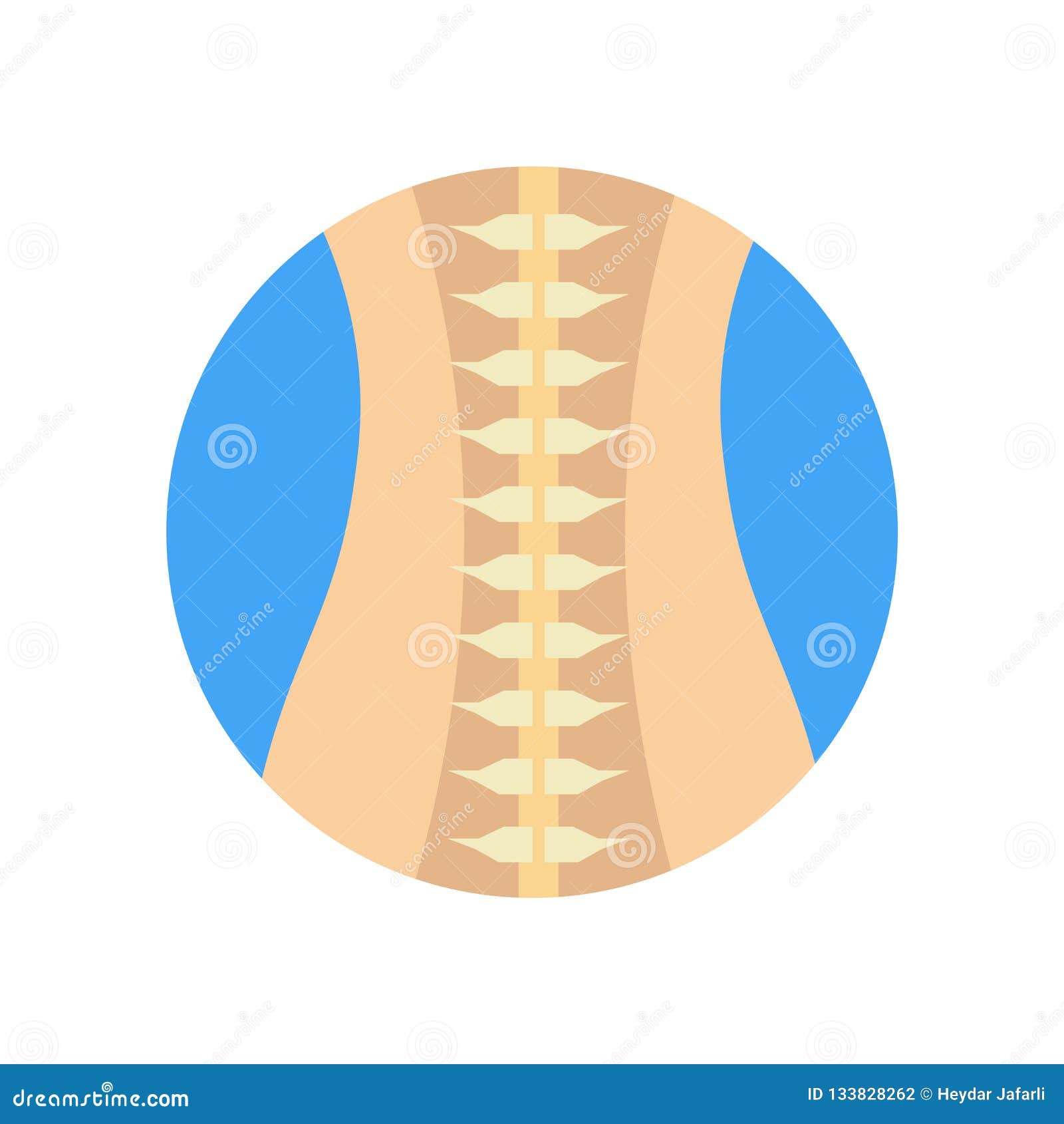 Spinal Column Icon Vector Sign and Symbol Isolated on White Back Stock ...