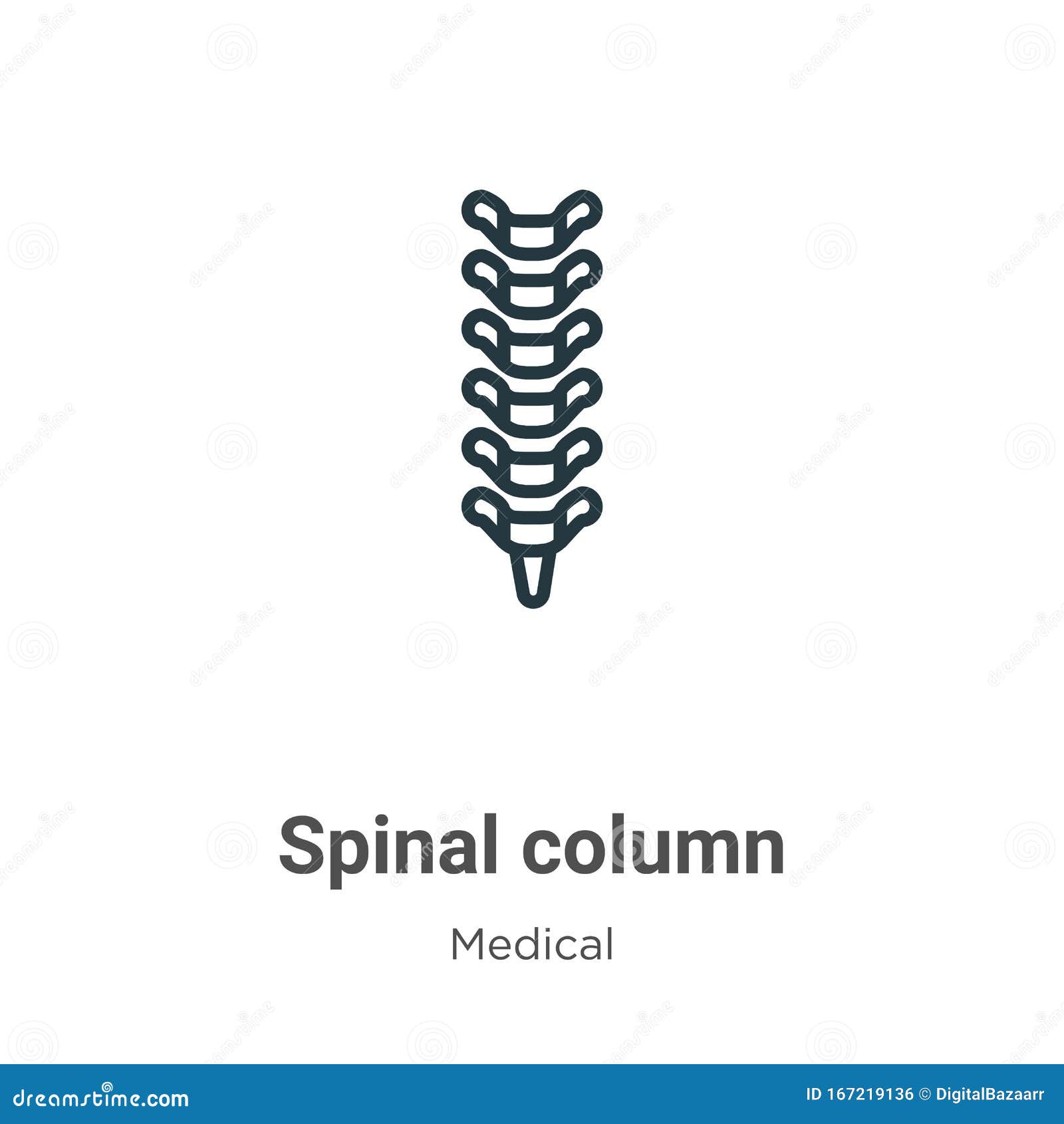 Spinal Column Outline Vector Icon. Thin Line Black Spinal Column Icon ...