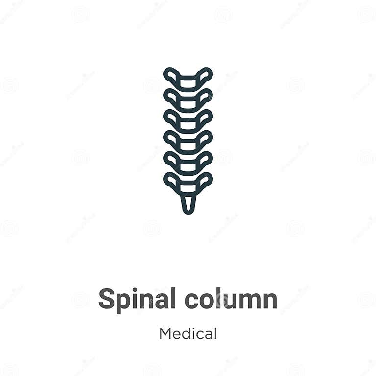 Spinal Column Outline Vector Icon. Thin Line Black Spinal Column Icon ...