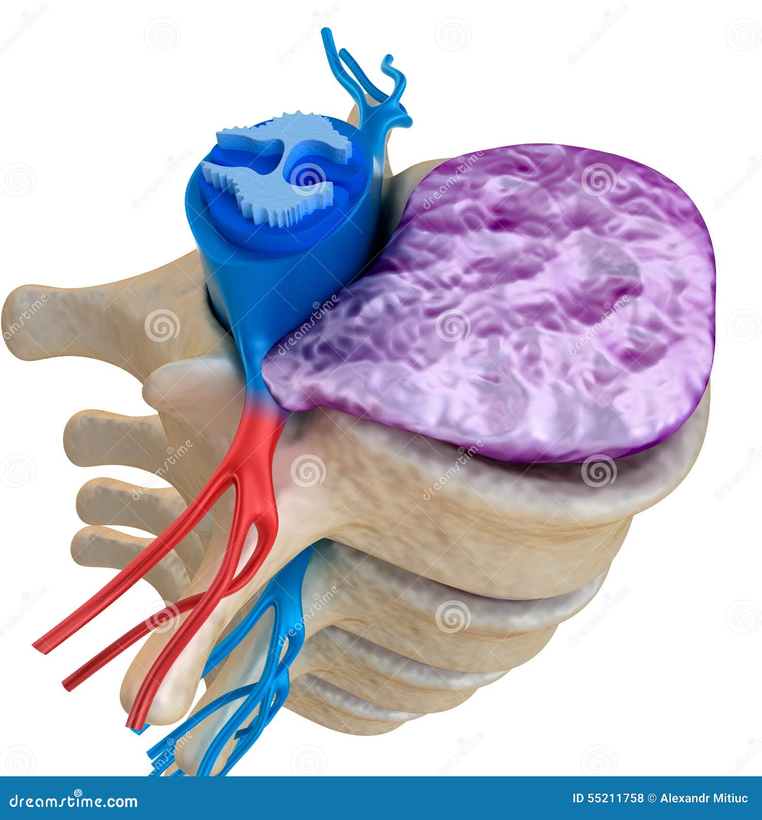 Bulging Cartoons, Illustrations & Vector Stock Images - 5433 Pictures ...