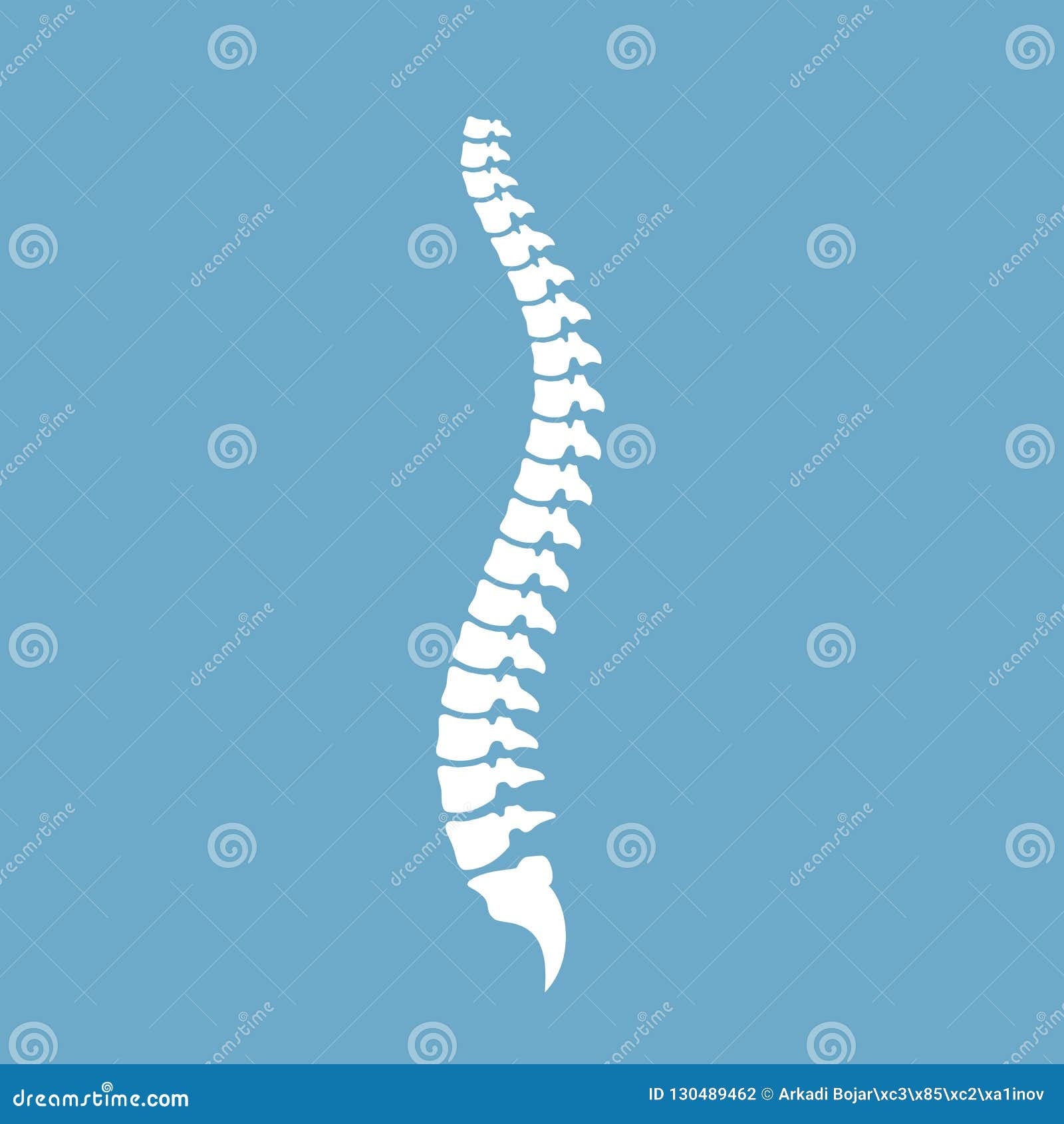 Spinal cord vector icon stock vector. Illustration of bone - 130489462