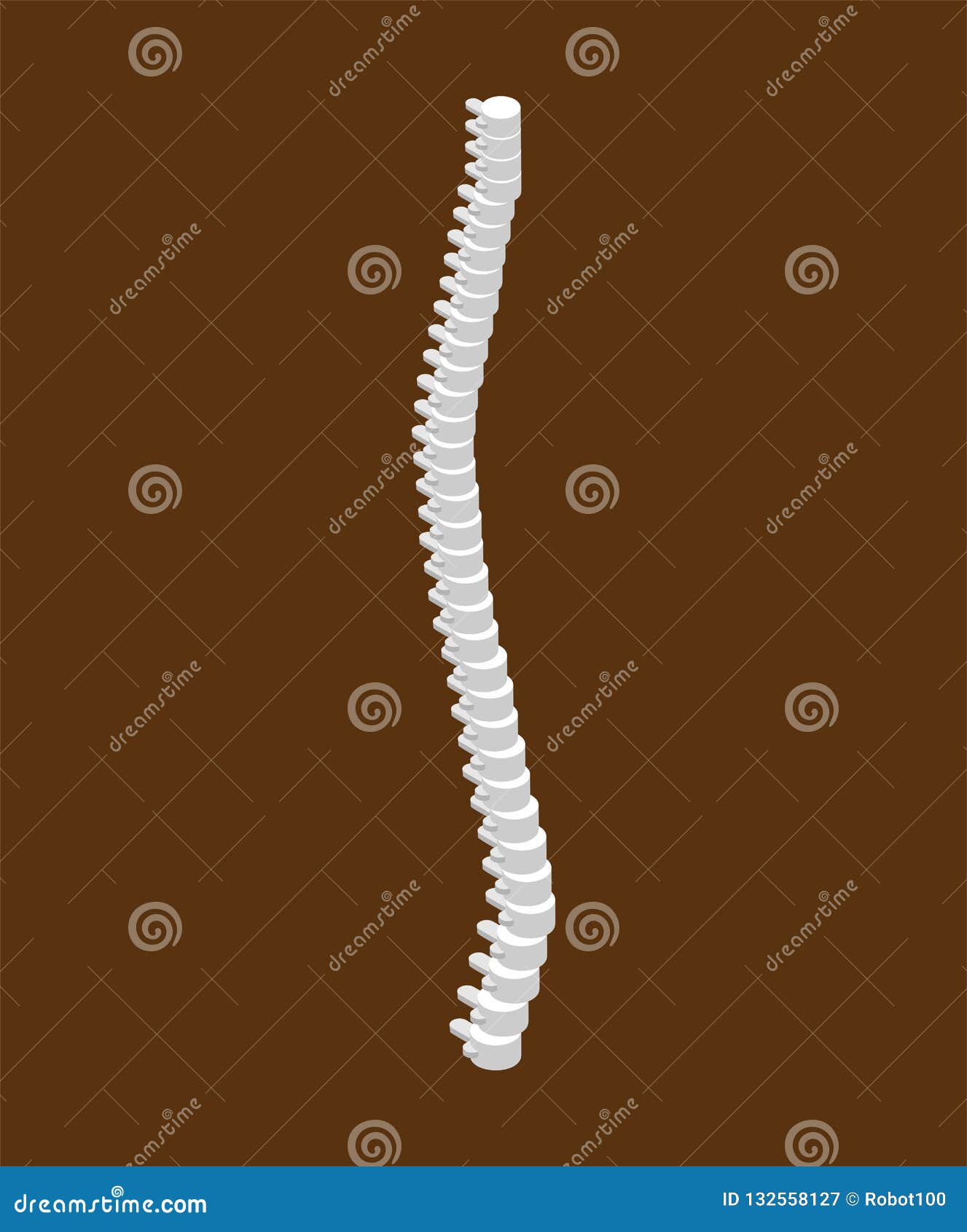 Spinal Isometric Isolated. 3D Bones Stock Vector - Illustration of ...
