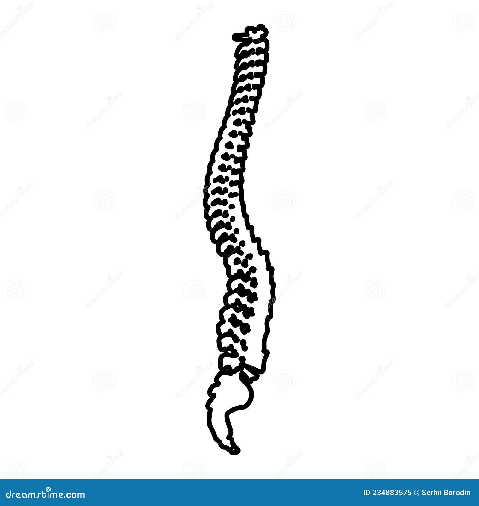 Spinal Vertebral Column Spine Backbone Contour Outline Icon Black Color ... Spinal Vertebral Column Spine Backbone Contour Outline Icon Black Color ...