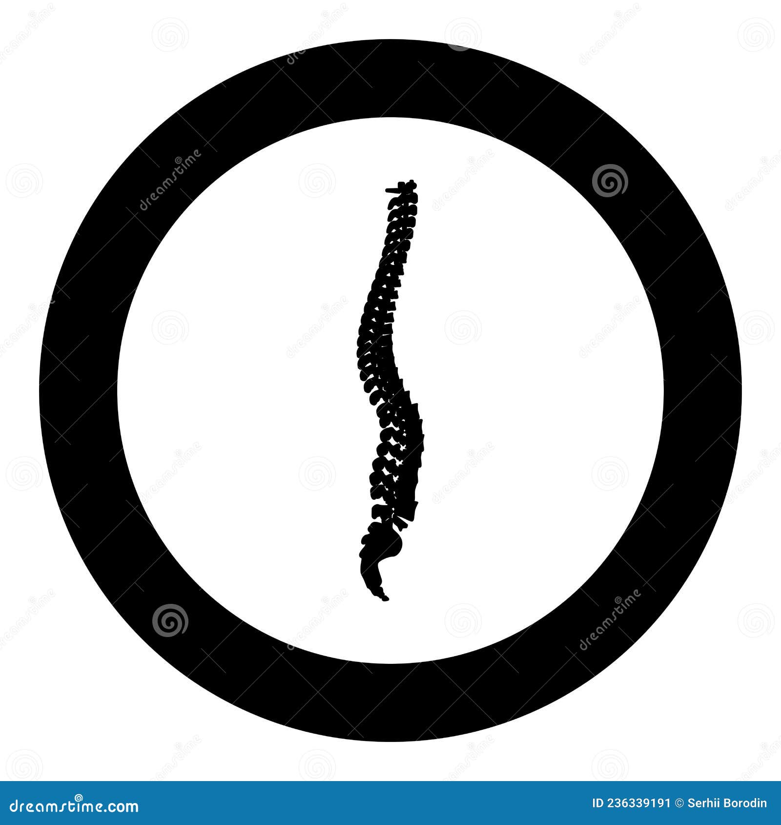 Spinal Vertebral Column Spine Backbone Icon in Circle Round Black Color ...