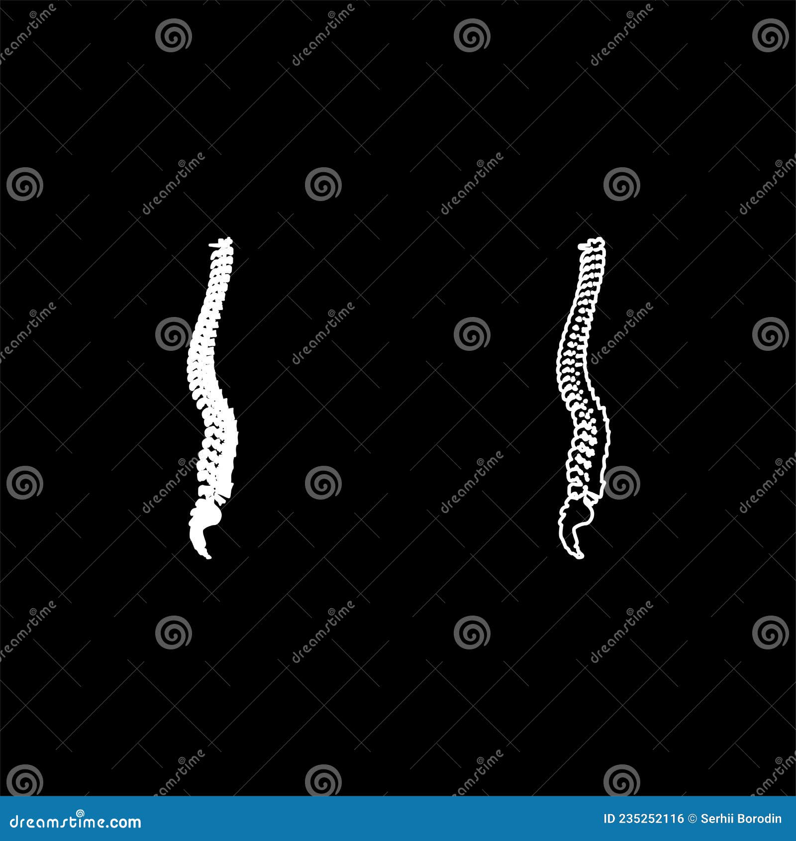 Spinal Vertebral Column Spine Backbone Icon White Color Vector ... Spinal Vertebral Column Spine Backbone Icon White Color Vector ...