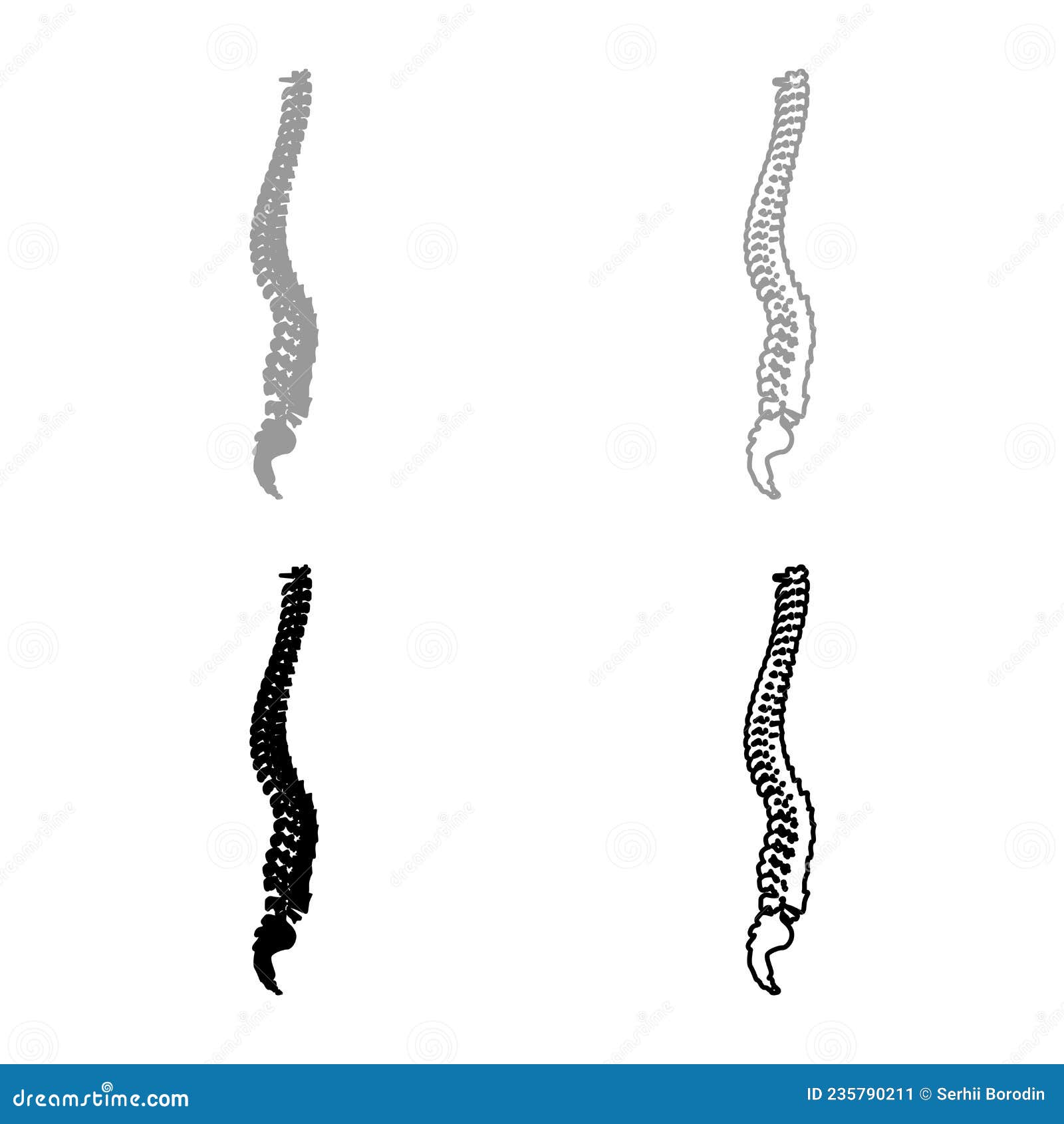 Spinal Vertebral Column Spine Backbone Icon White Color Vector ...