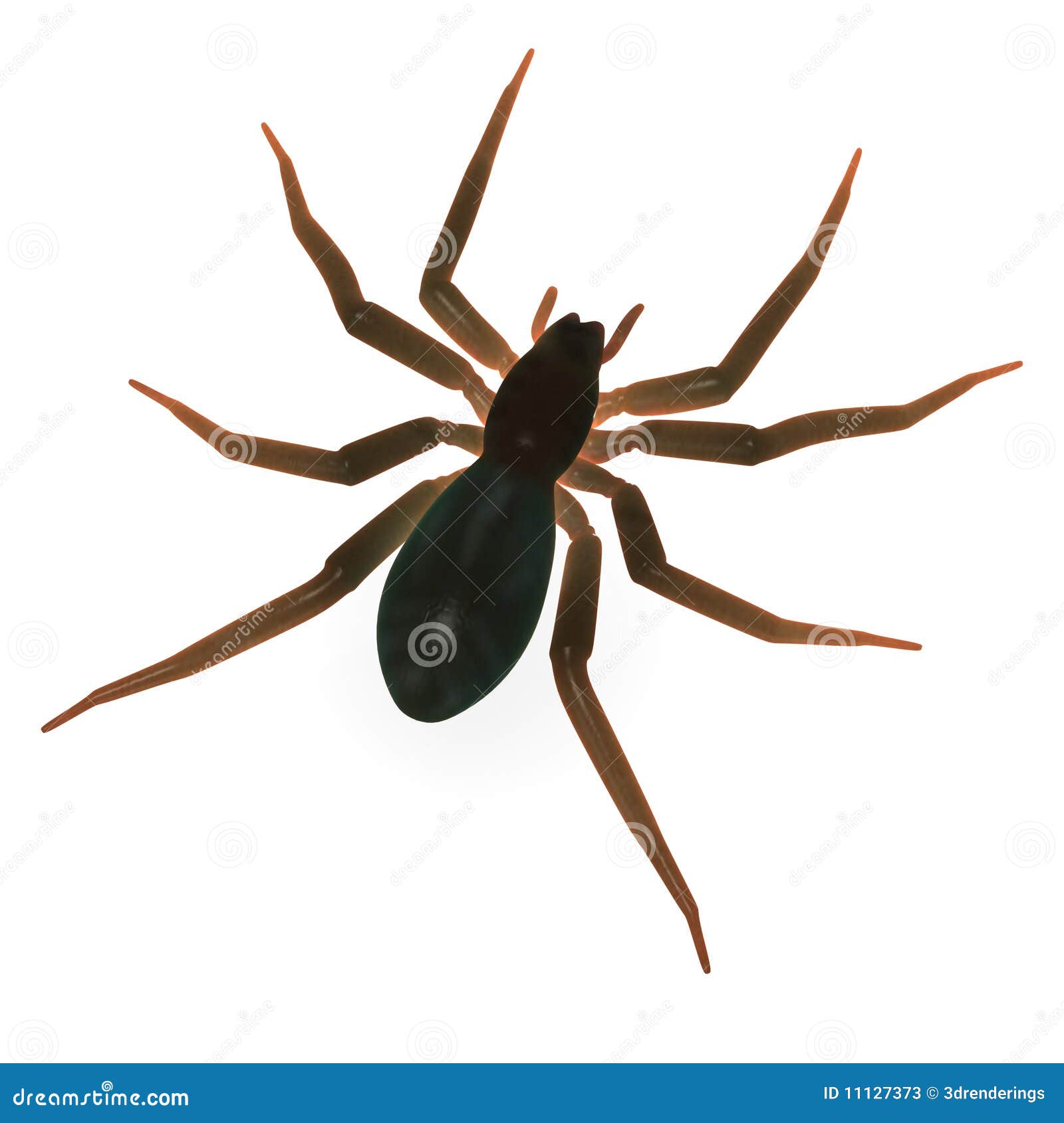 Spindel stock illustrationer. Illustration av monster - 11127373