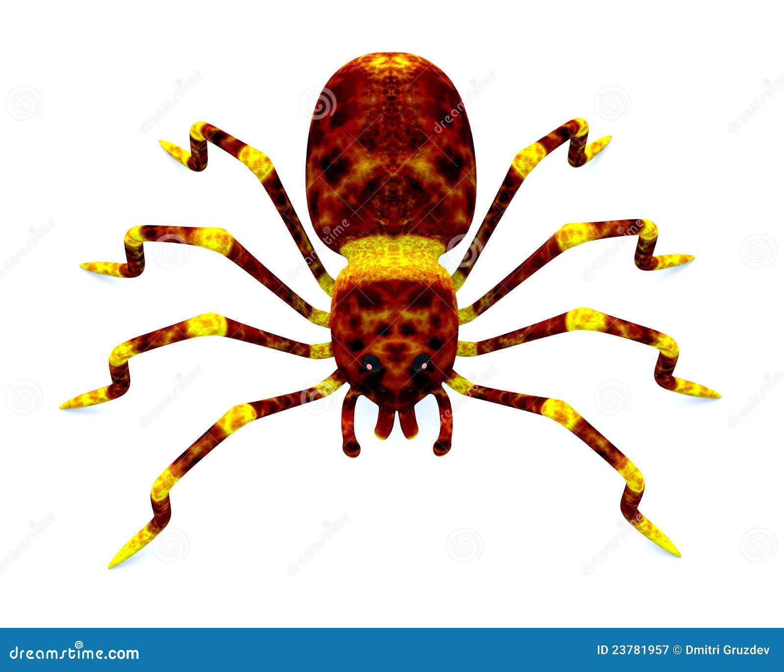 Spindel fotografering för bildbyråer. Bild av vild, kryssa - 23781957