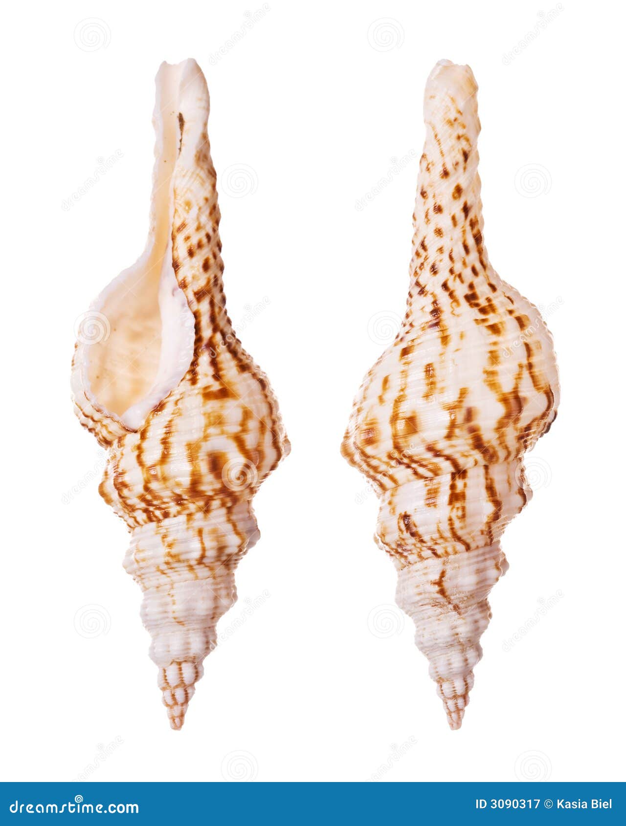 1,637 Texture Spindle Stock Photos - Free & Royalty-Free Stock Photos ...