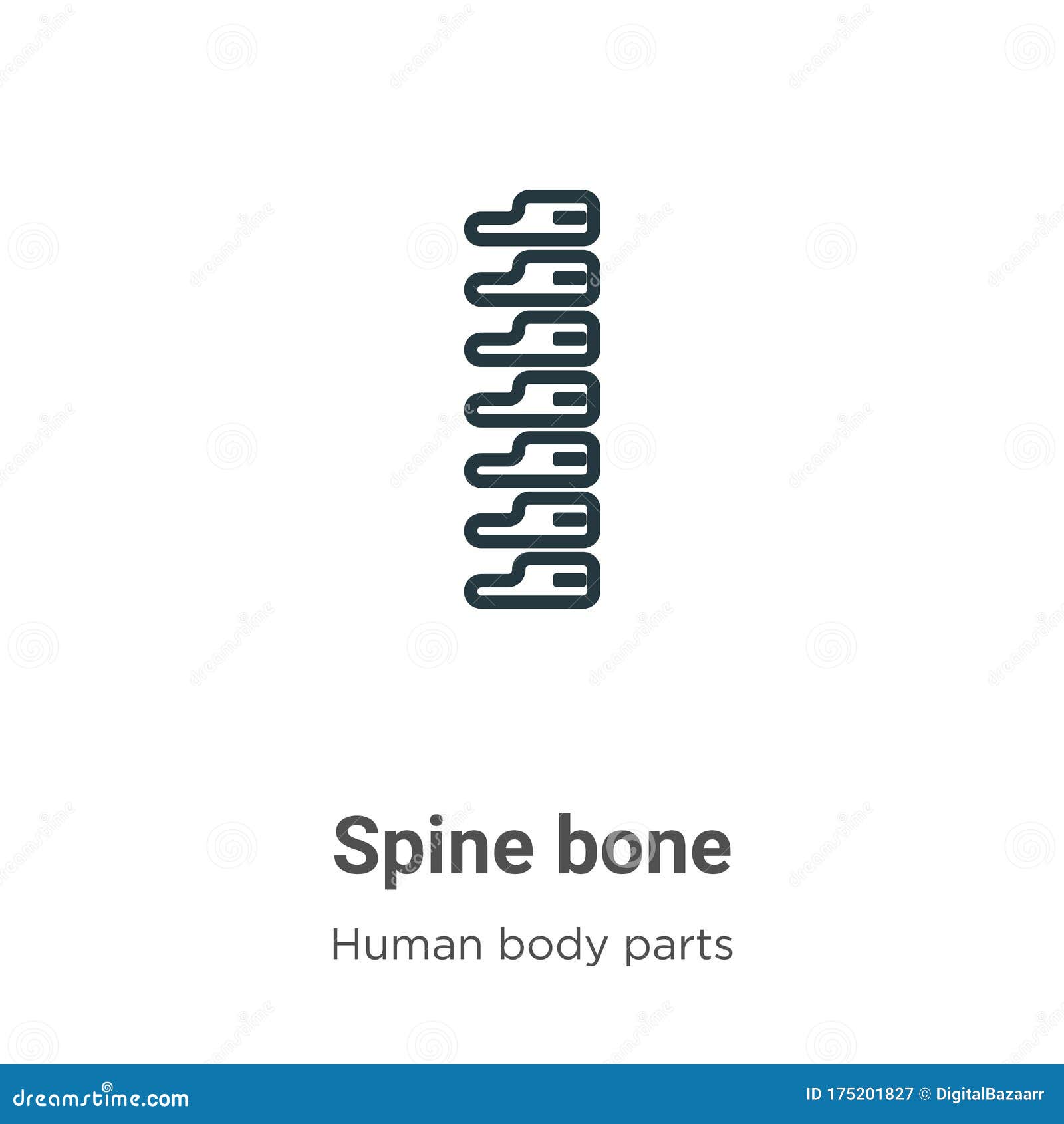 Spine Bone Outline Vector Icon. Thin Line Black Spine Bone Icon, Flat ...
