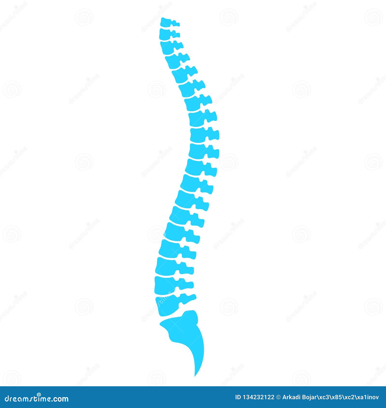 Spine column vector icon stock vector. Illustration of chiropractic ...