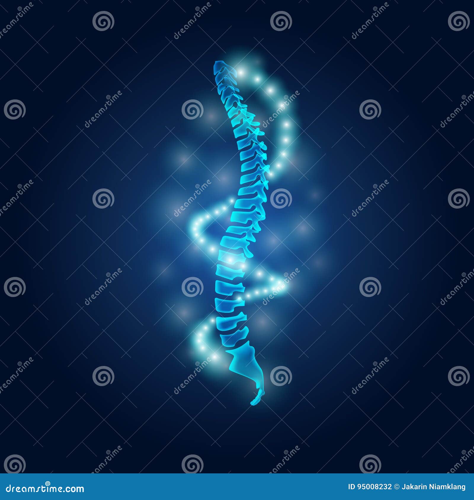 Spine stock vector. Illustration of ligth, body, biology - 95008232