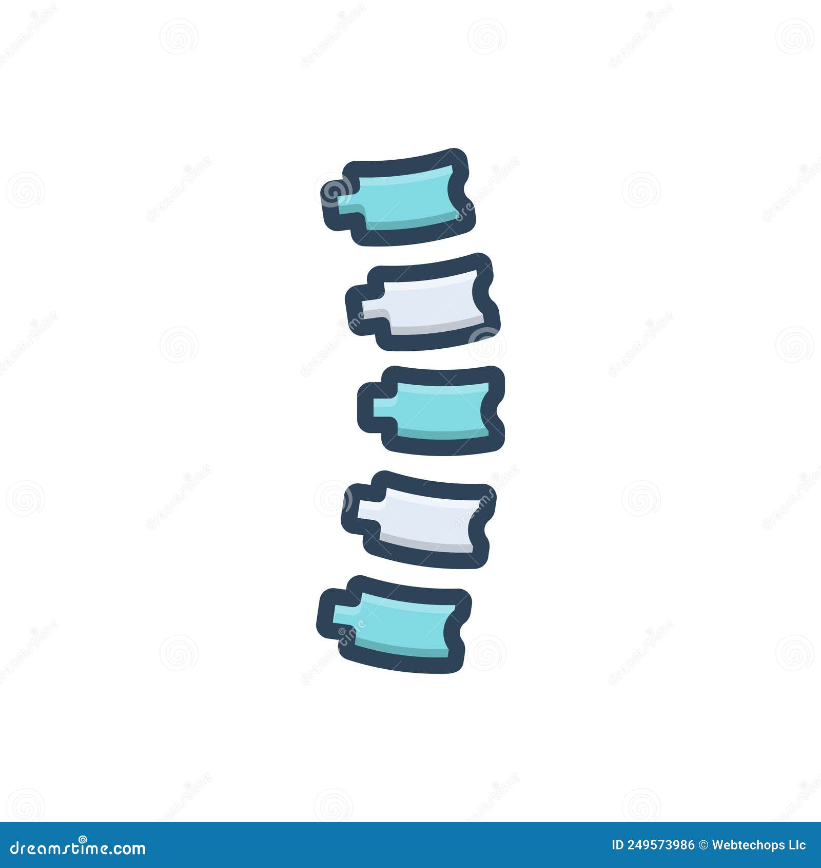 Spine Column Anatomy Vector Illustration | CartoonDealer.com #190484668